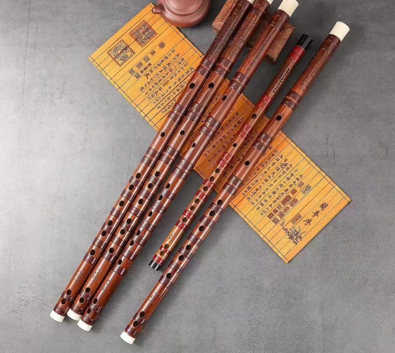 Traditional Chinese Instruments: Strings of Eternity (2024)