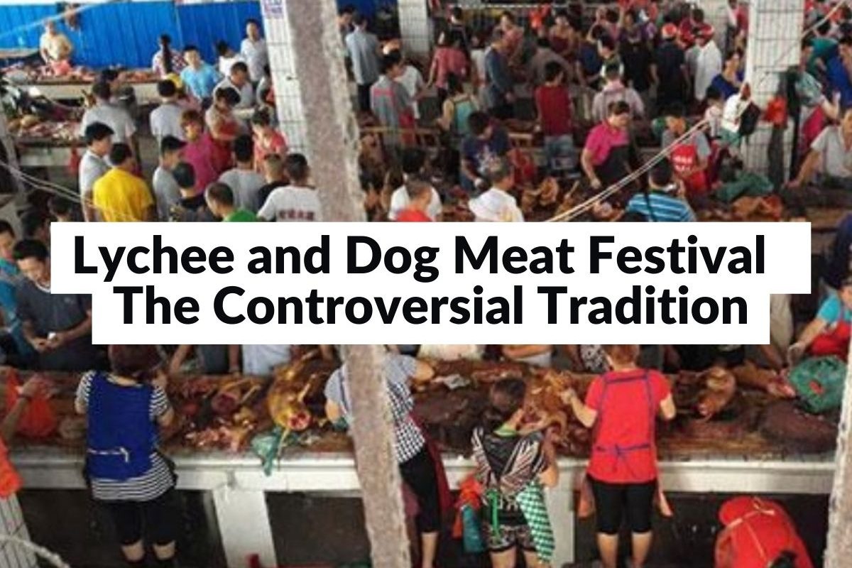 Lychee and Dog Meat Festival - The Controversial Tradition