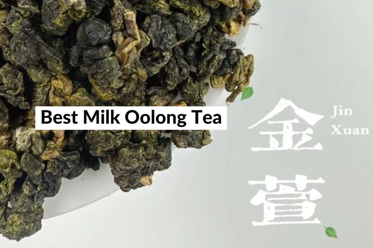 Best Milk Oolong Tea: Your Ultimate Guide (2026)