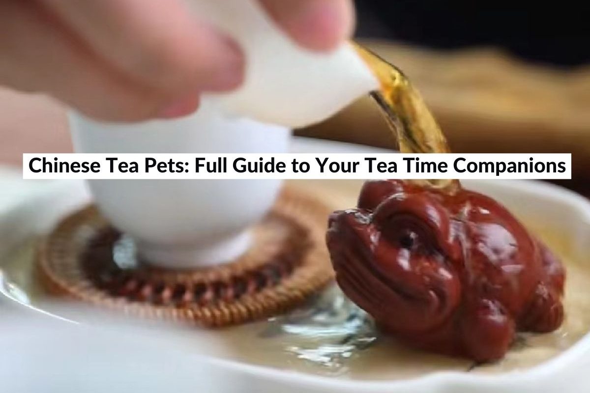 Chinese Tea Pets: Full Guide to Your Tea Time Companions (2024)