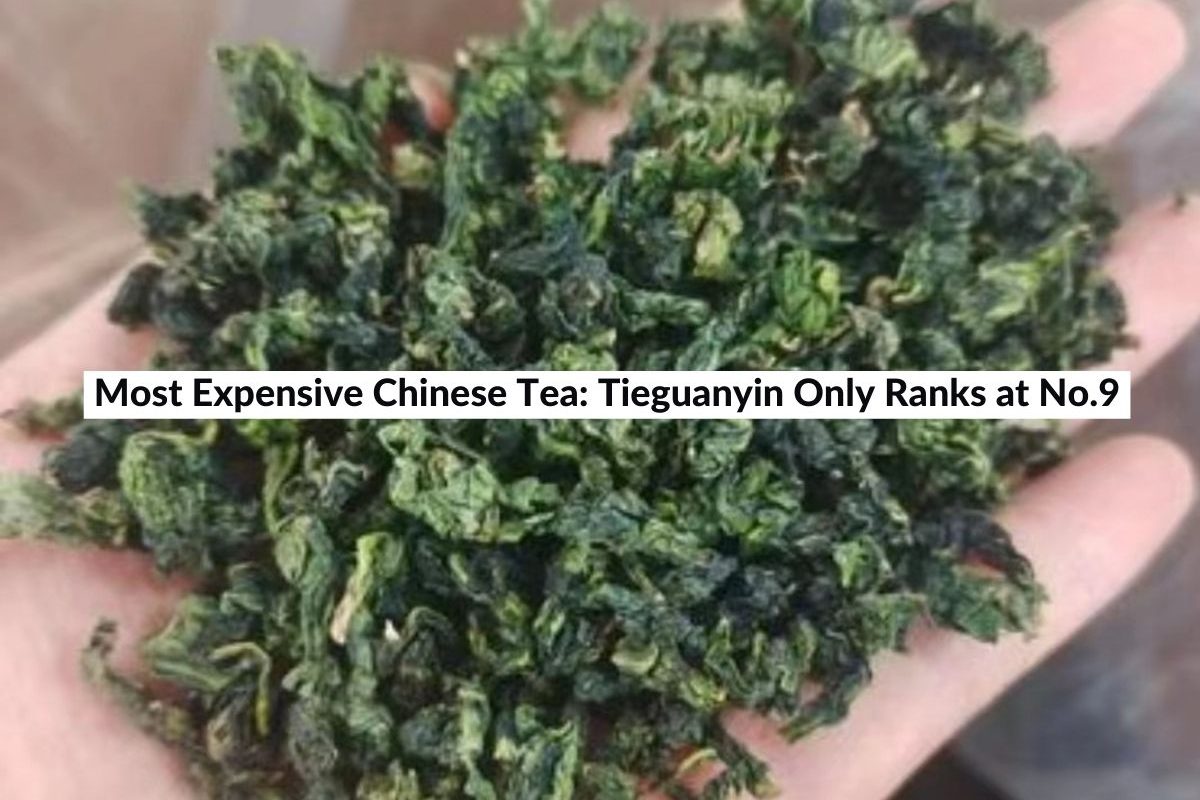 Most Expensive Chinese Tea: Tieguanyin Only Ranks at No.9